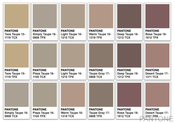 Color topo - ¿Qué color es el topo?
