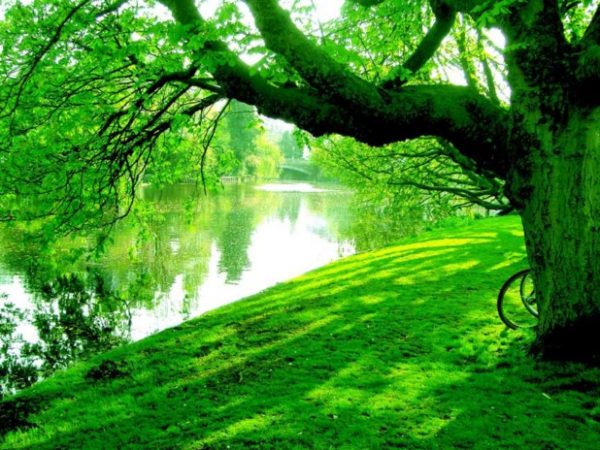 Verde marino - ¿De qué color es el marino?